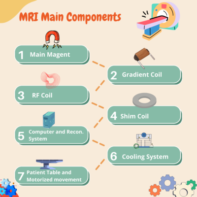 What Are the Parts of an MRI Machine? | TEMPE