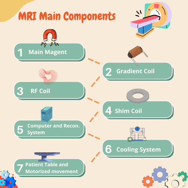 What Are the Parts of an MRI Machine? | TEMPE